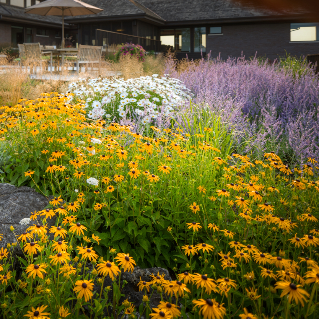 Trending Landscape Ideas for 2025